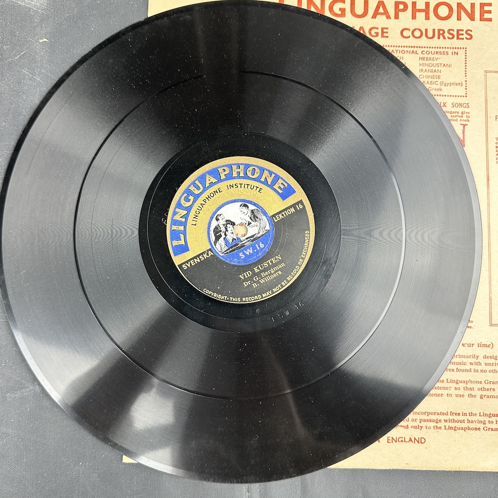 huge set of WAFFEN SS Lazarett scholl RECORDS with 3 SS books in case
